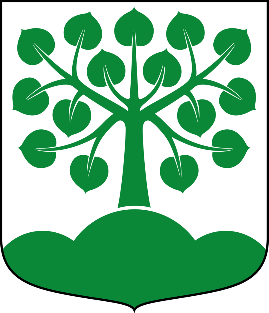 Så förändrade Lindesberg sin styrning och ledning med Stratsys